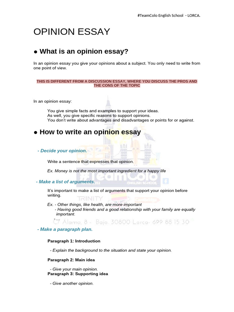 Opinion Essay | PDF