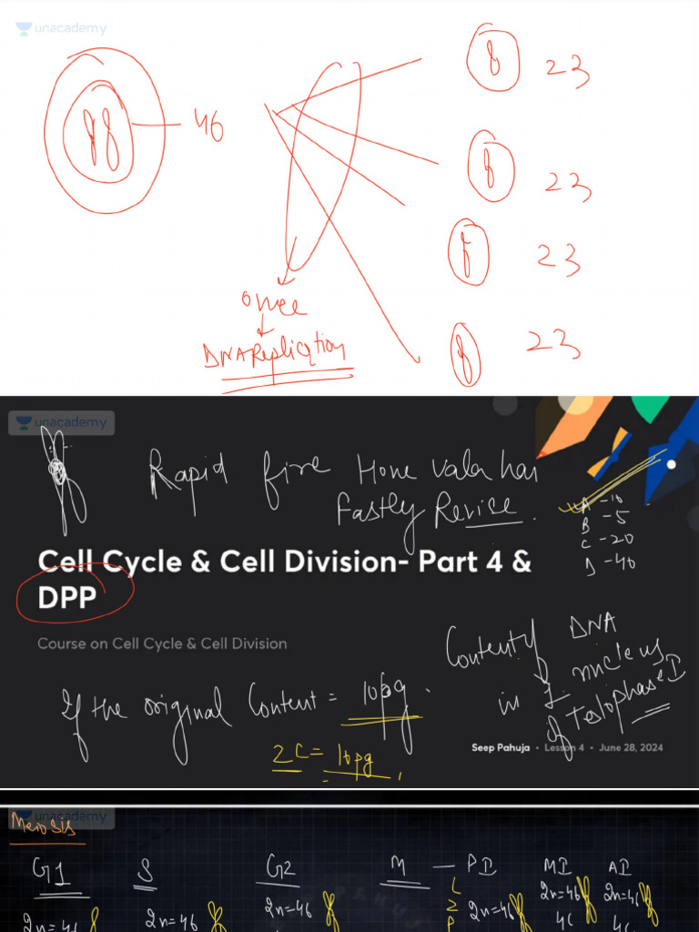 Cell Cycle Cell Division Part 4 DPP With Anno | PDF