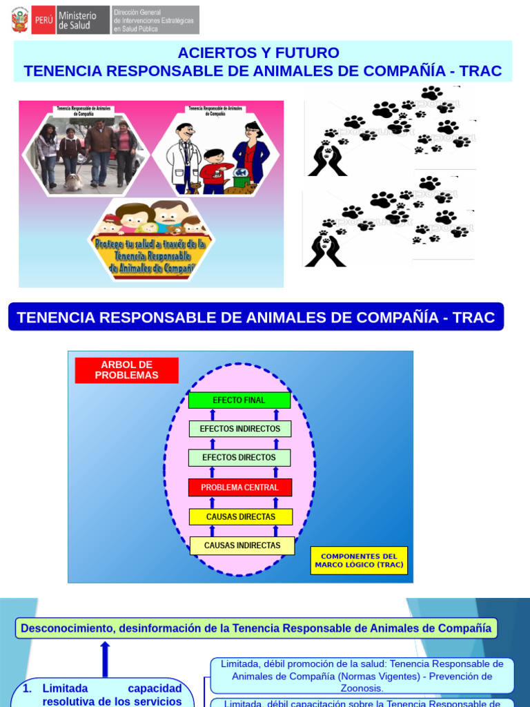 Trac 2023 Arbol de Problemas | PDF