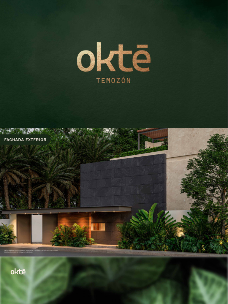 Okte Brochure | PDF
