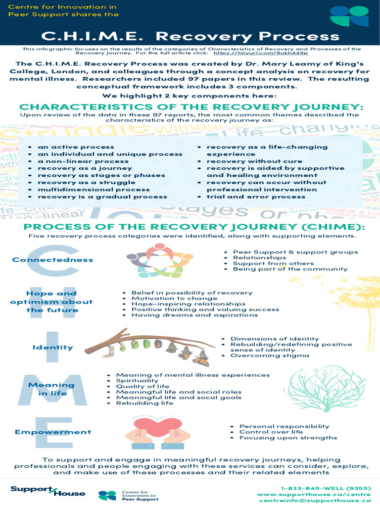 CHIME Recovery Process | PDF