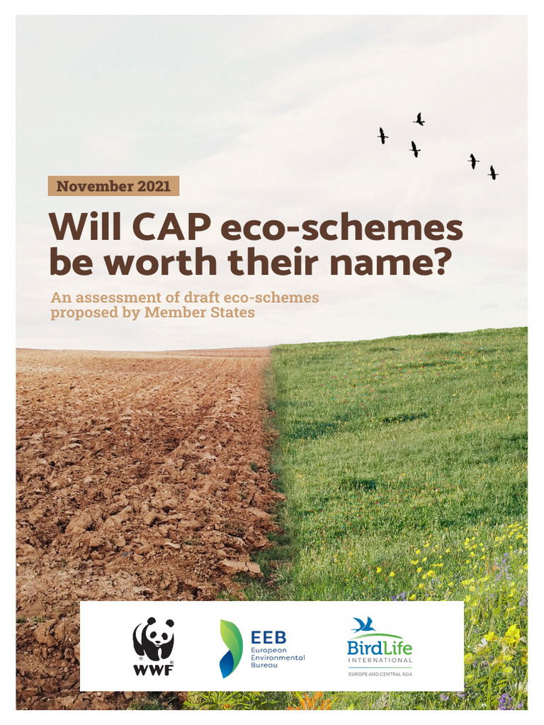 Eco Schemes Assessment | PDF | Agriculture | Technology & Engineering