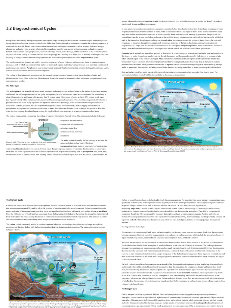 3.2 Biogeochemical Cycles - Environmental Biology | PDF