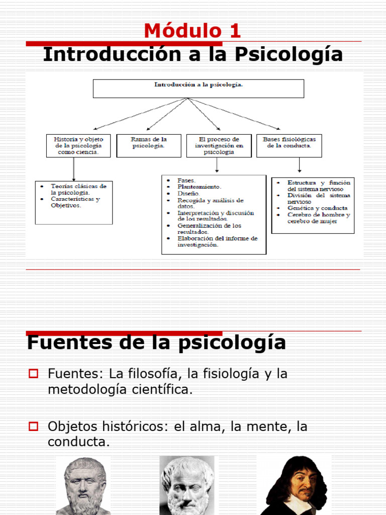 Presentacion Del Modulo 1 | PDF