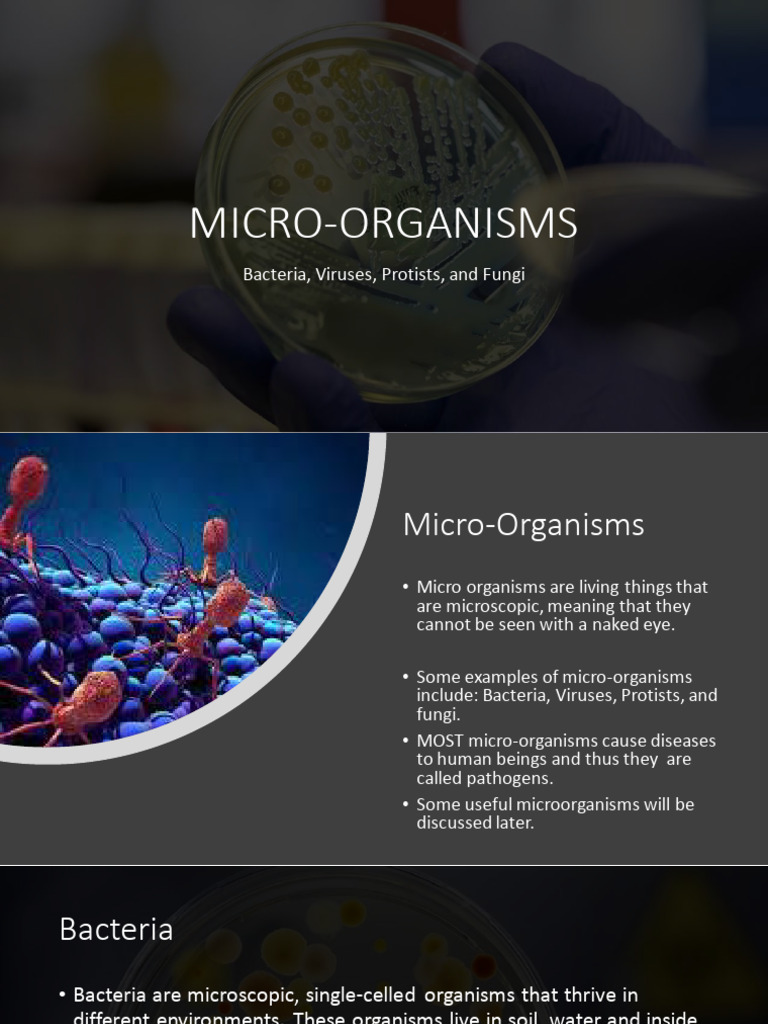Micro Organisms | PDF