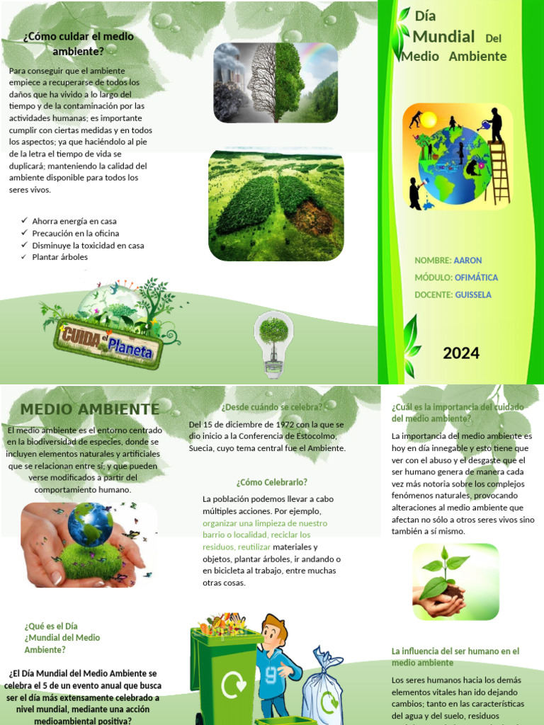 Cómo Cuidar El Medio Ambiente (TRIPTICO) | PDF