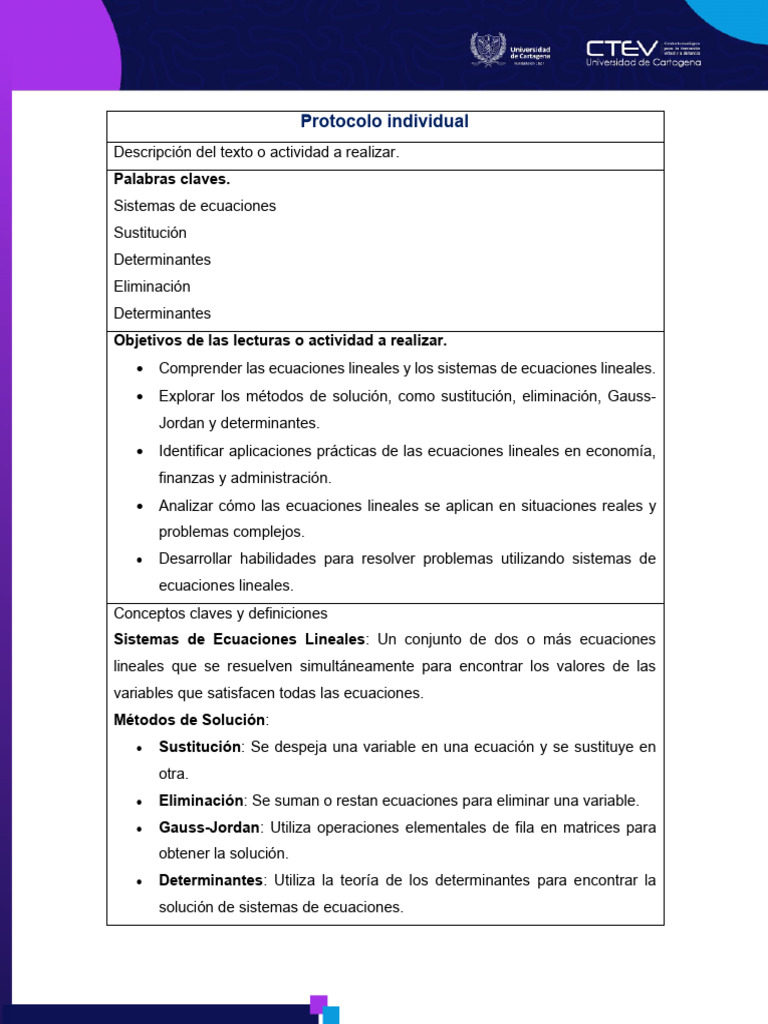 Plantilla Protocolo Individual | PDF