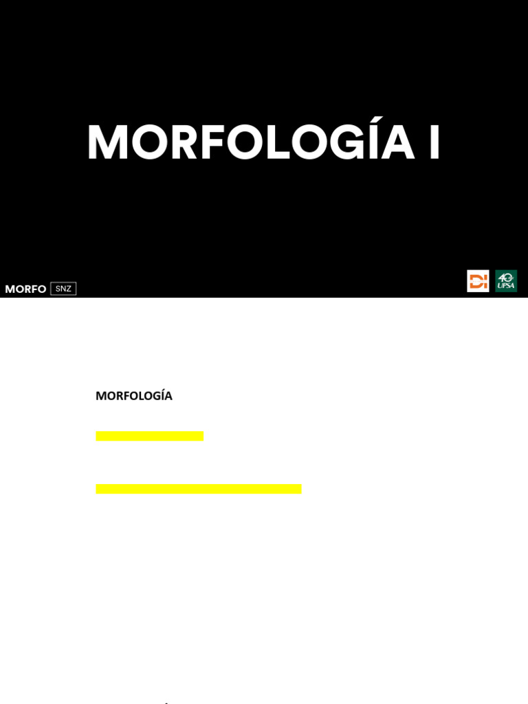 MORFO 1 - MONGE | PDF