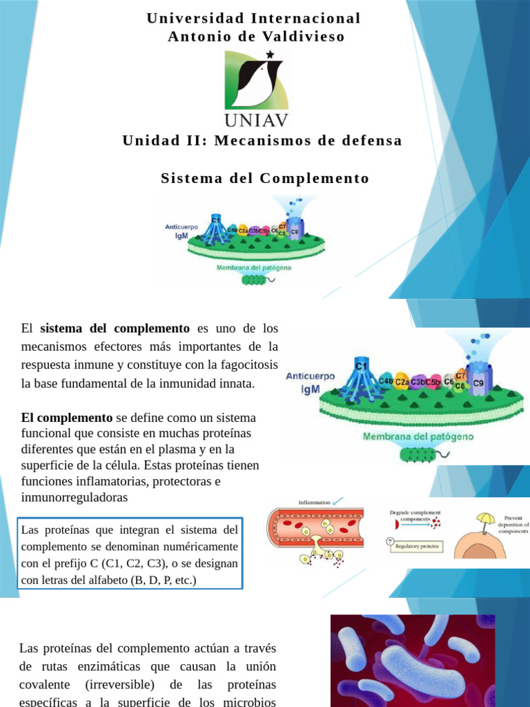 Sistema Del Complemento | PDF