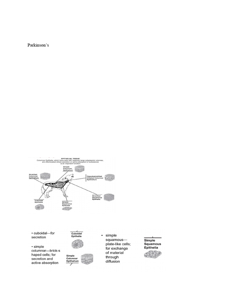 Animal Tissue Biology Pdf