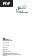 Fauna Diversa de Michoacán | PDF | Mamíferos | Zoología