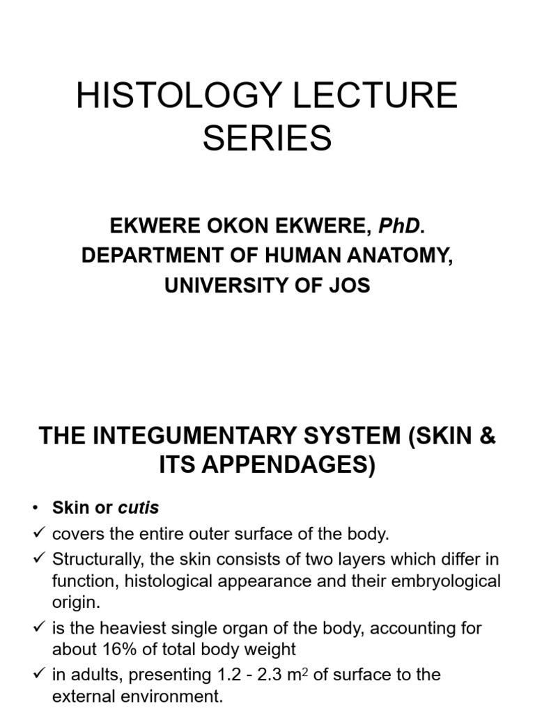 Histology-The Integumentary System | PDF