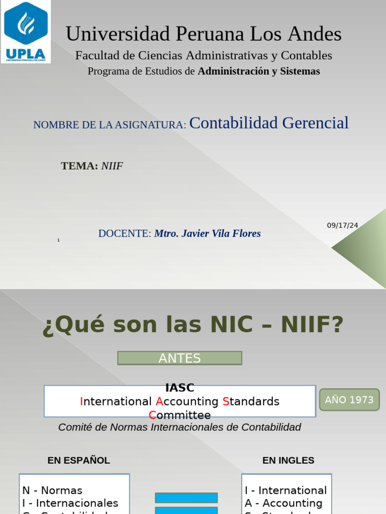 Nic y Niif | PDF