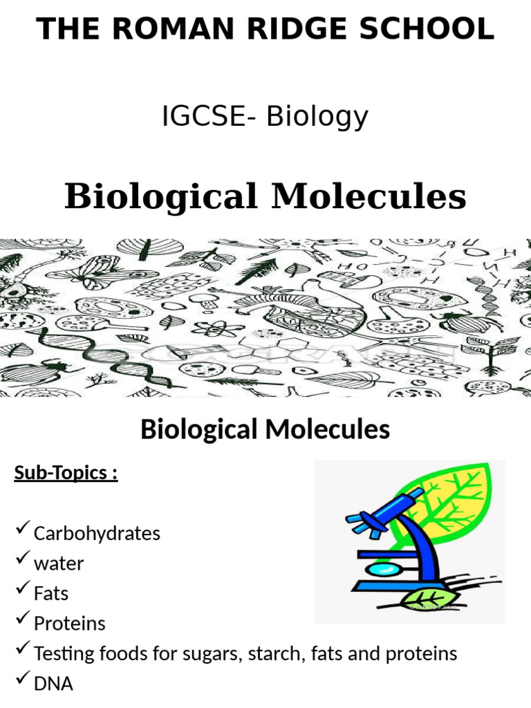 IGCSE Biology Biological Molecules | PDF