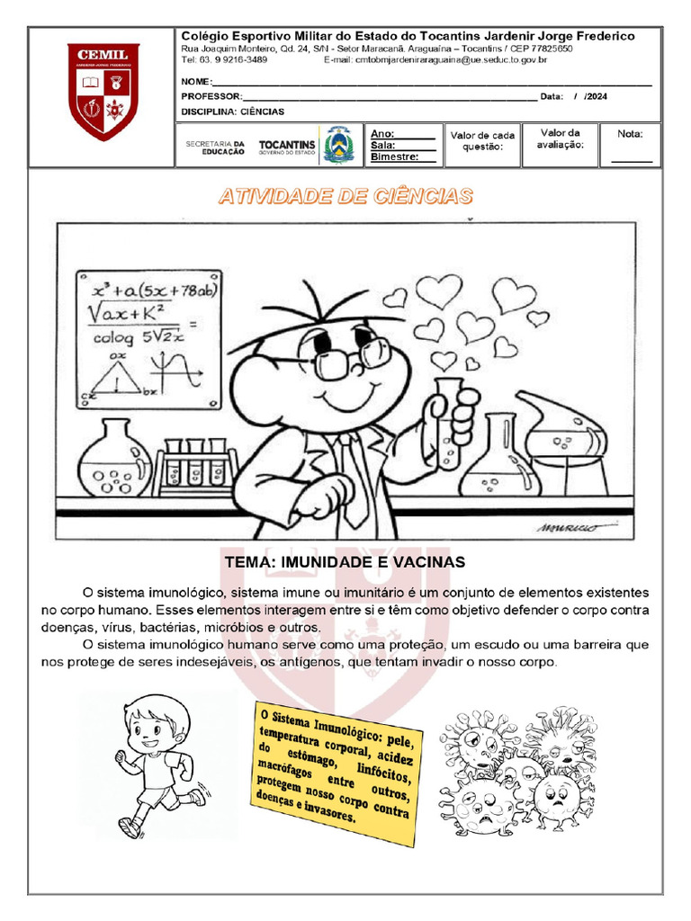 Atividade Sétimo Ano | PDF