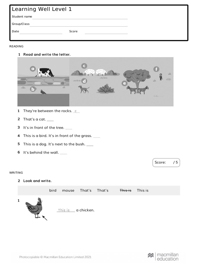 PRACTICE MATERIAL 2 KA.1.2 | PDF