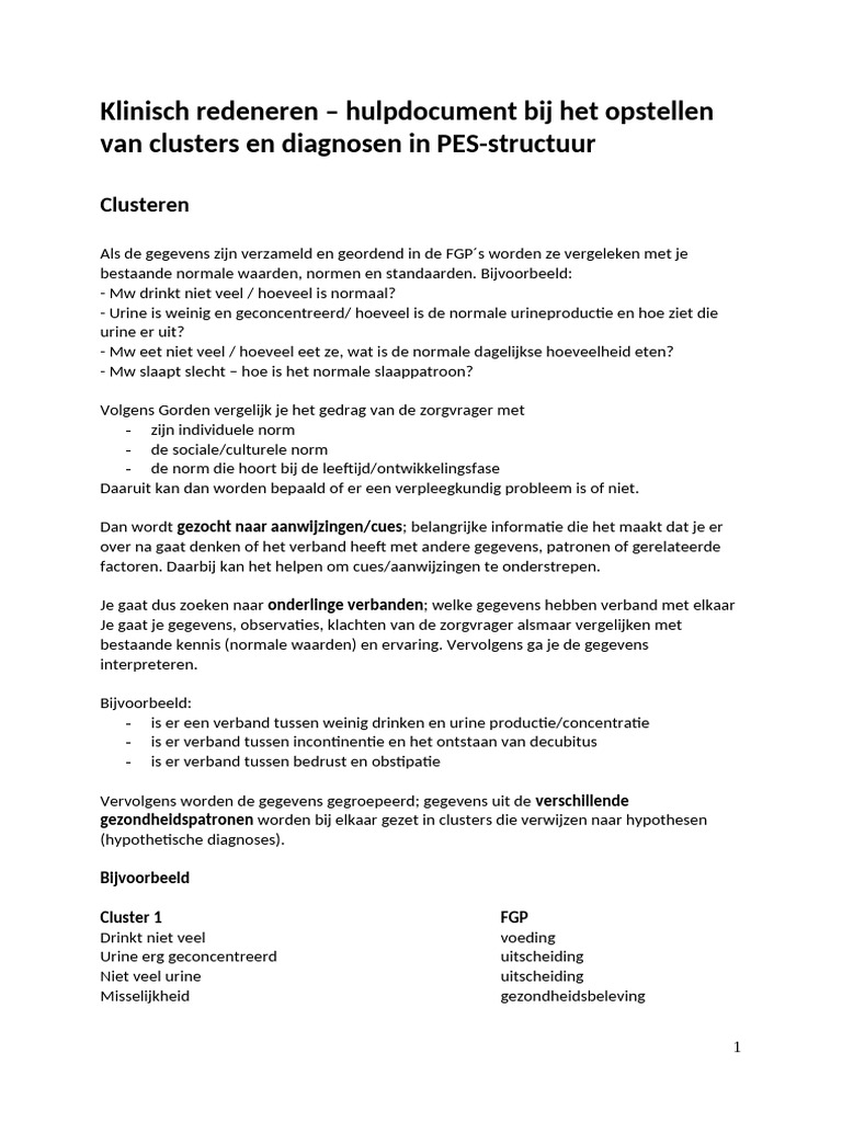 KR hulpdocument clusteren en diagnosen in PES structuur 2022-2023 | PDF