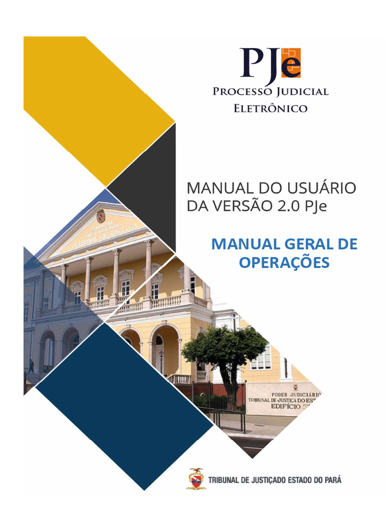 Manual PJe - TJPa | PDF