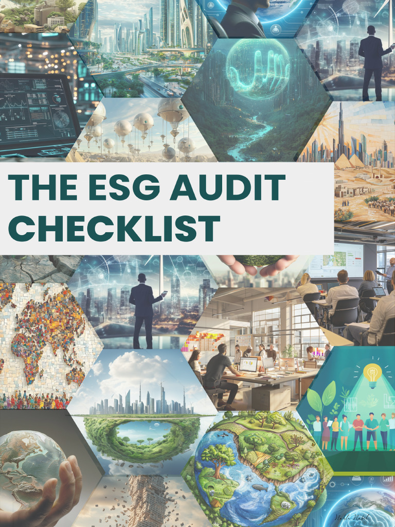 The ESG Audit Checklist | PDF