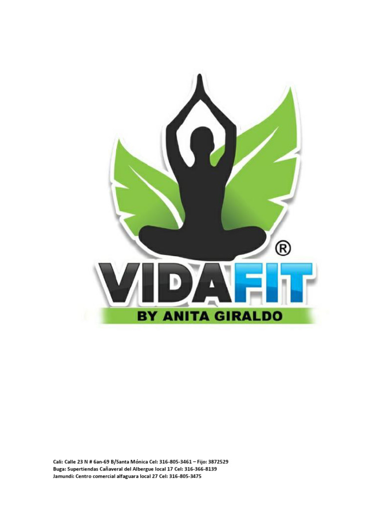 Portafolio Vidafit | PDF