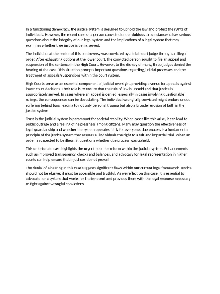 In A Functioning Democracy | PDF