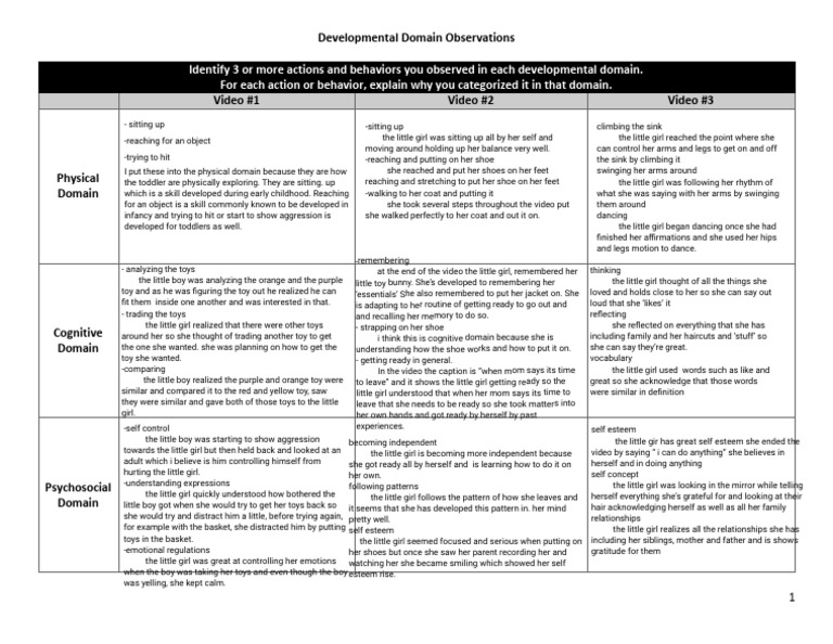 Developmental Domain Observation | PDF