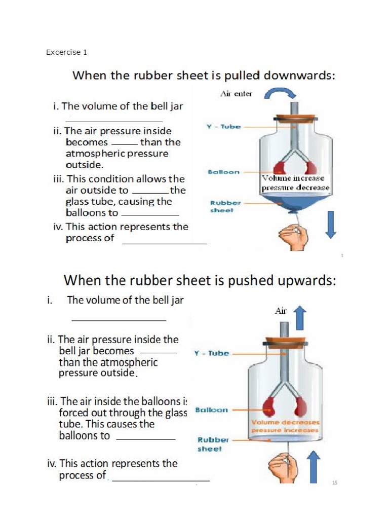 Respiration Exercise1 | PDF