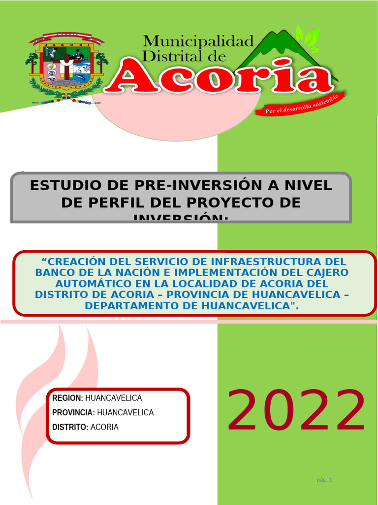 Resumen Ejecutivo Corregido | PDF