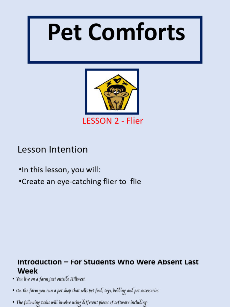 Lesson 2 - Flier | PDF