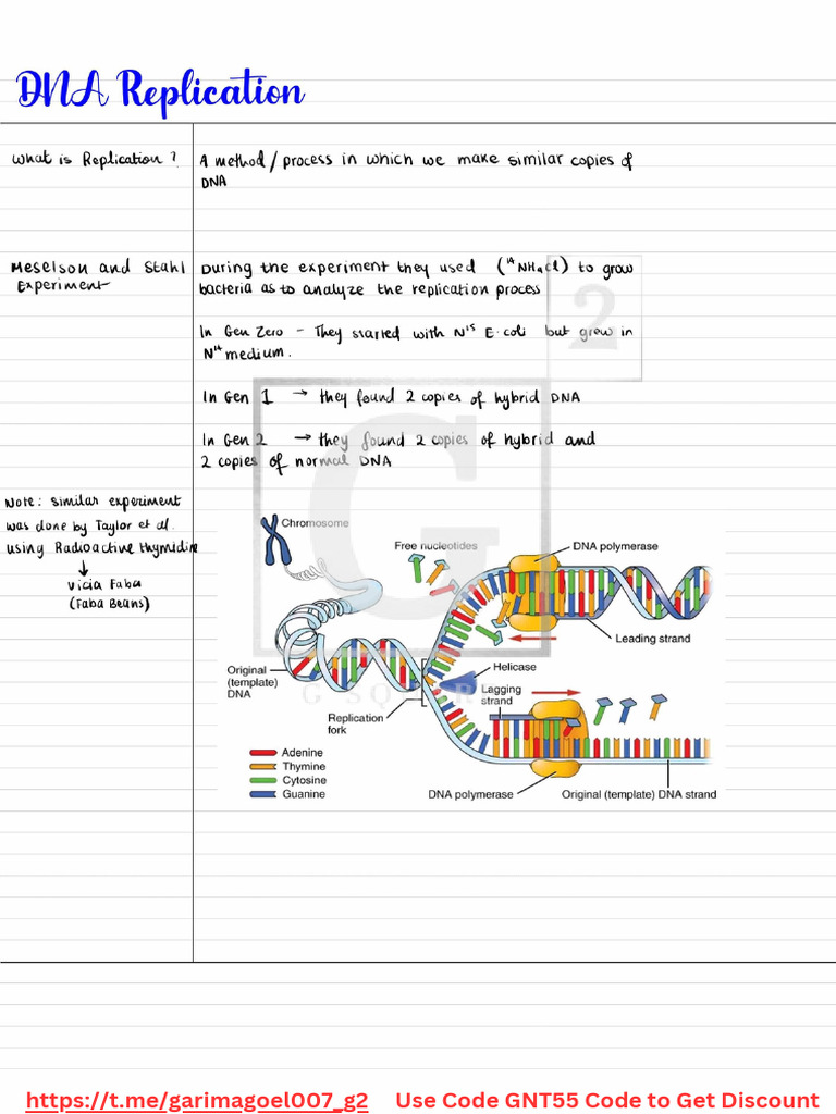 DNA Replication by Garima Mam | PDF
