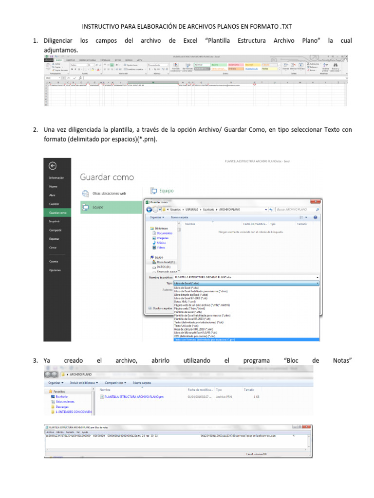 Instructivo para Elaboracion de Archivos Planos en Formato | PDF