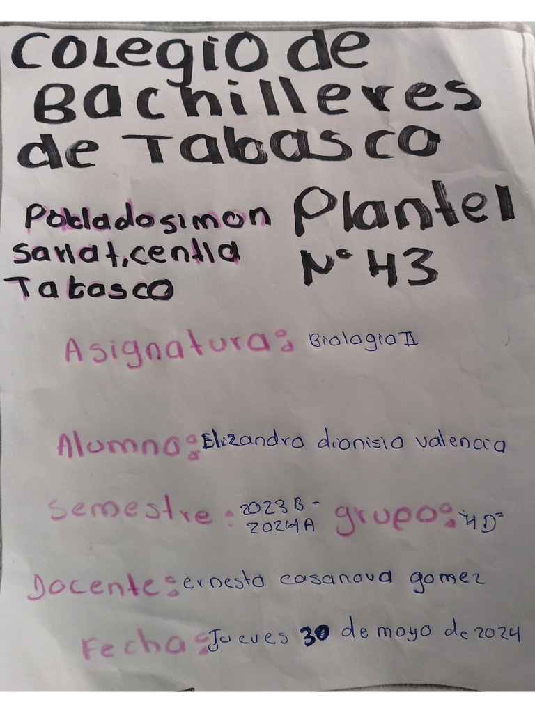 actividades Elizandro _“4D“ | PDF