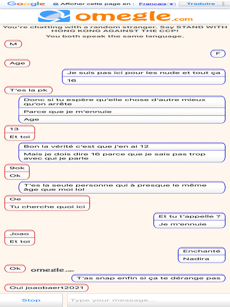 Omegle Talk To Strangers! | PDF