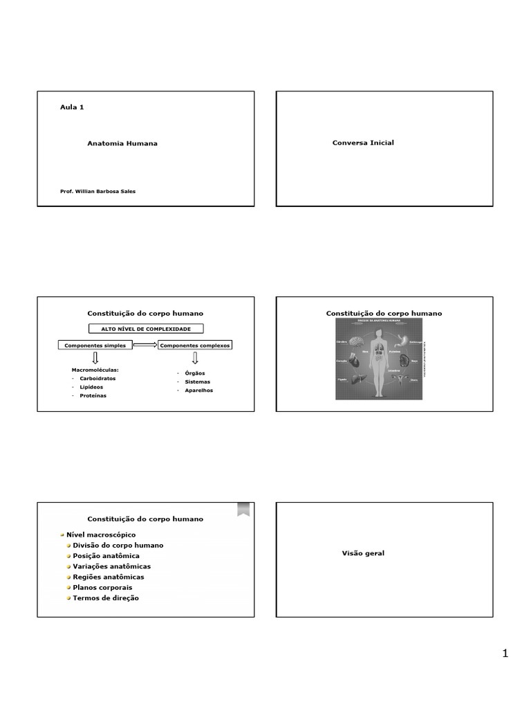 slides anatomia 1 | PDF