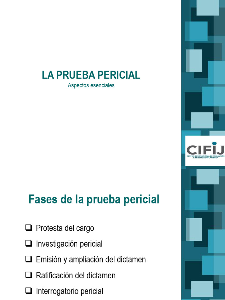 La Prueba Pericial. Aspectos Esenciales. Dr. Guillén | PDF