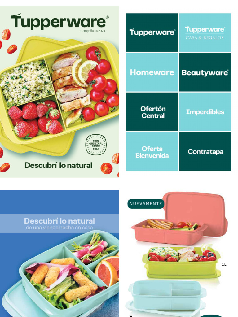 Tupperware 202411 | PDF