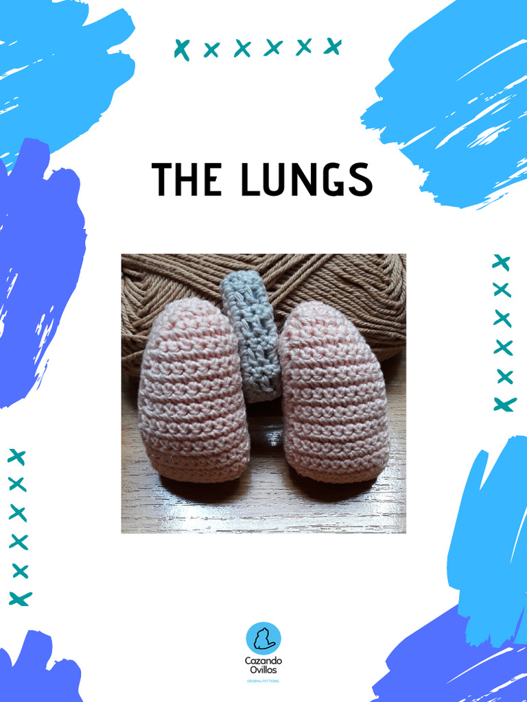 The Lungs | PDF