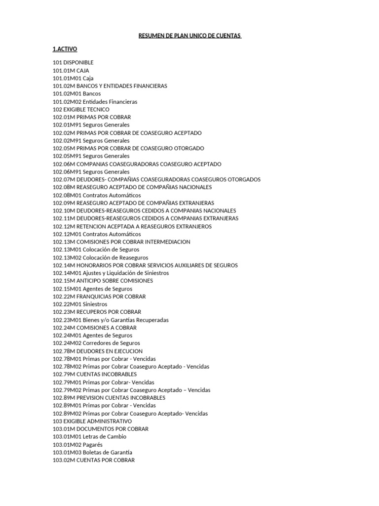 Resumen de Plan Unico de Cuentas | PDF