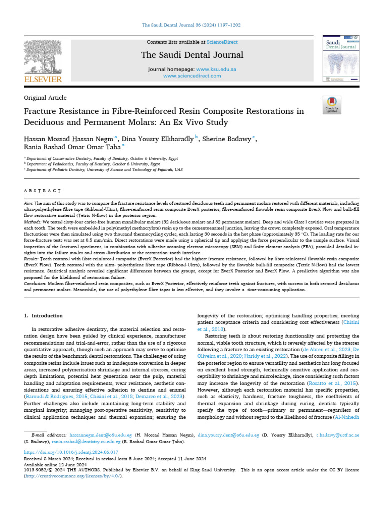 Resistencia Ribon Ever XX Posterior | PDF