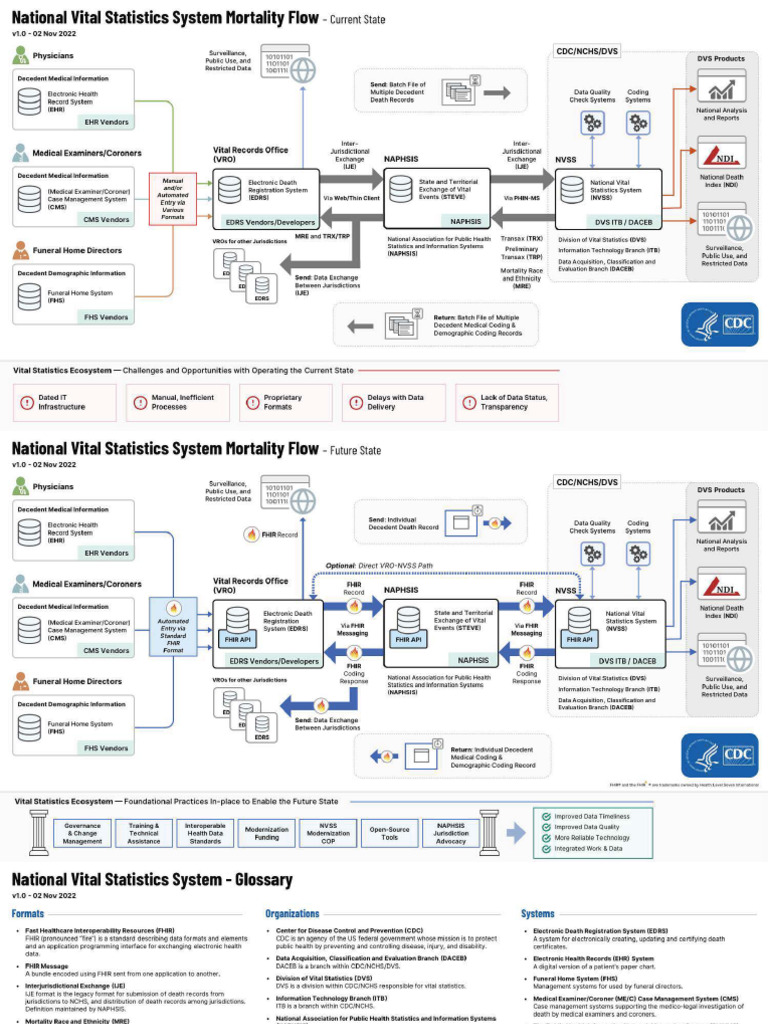 Nvss Mortality Flow | PDF