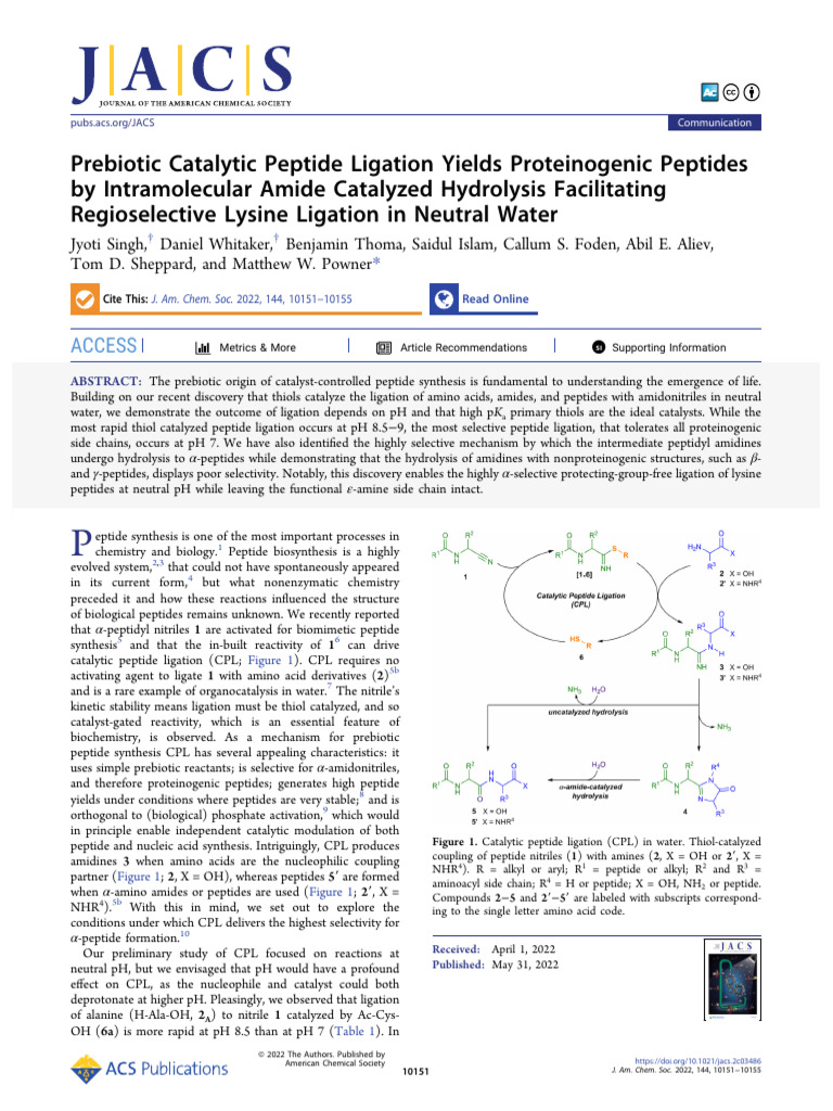 Prebiotic Catalytic Peptide Ligation Yields Proteinogenic Peptides by ...