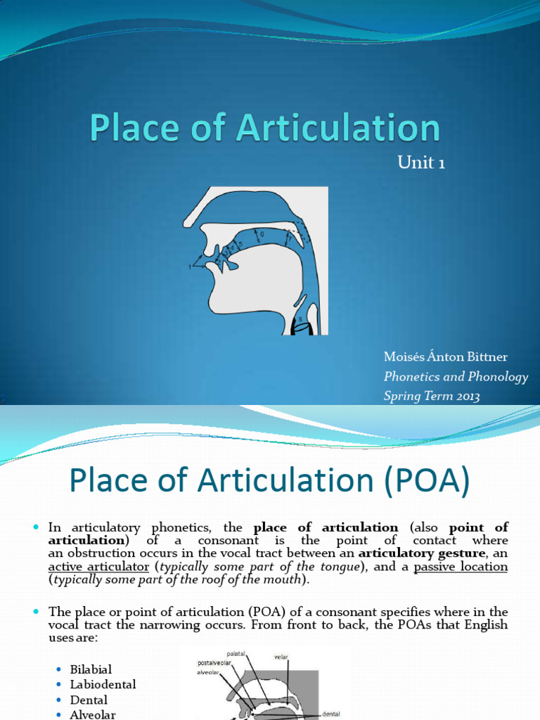 Place of Articulation | PDF