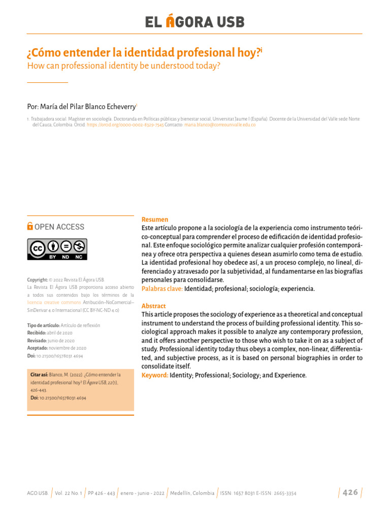 Cómo Entender La Identidad Profesional Hoy | PDF