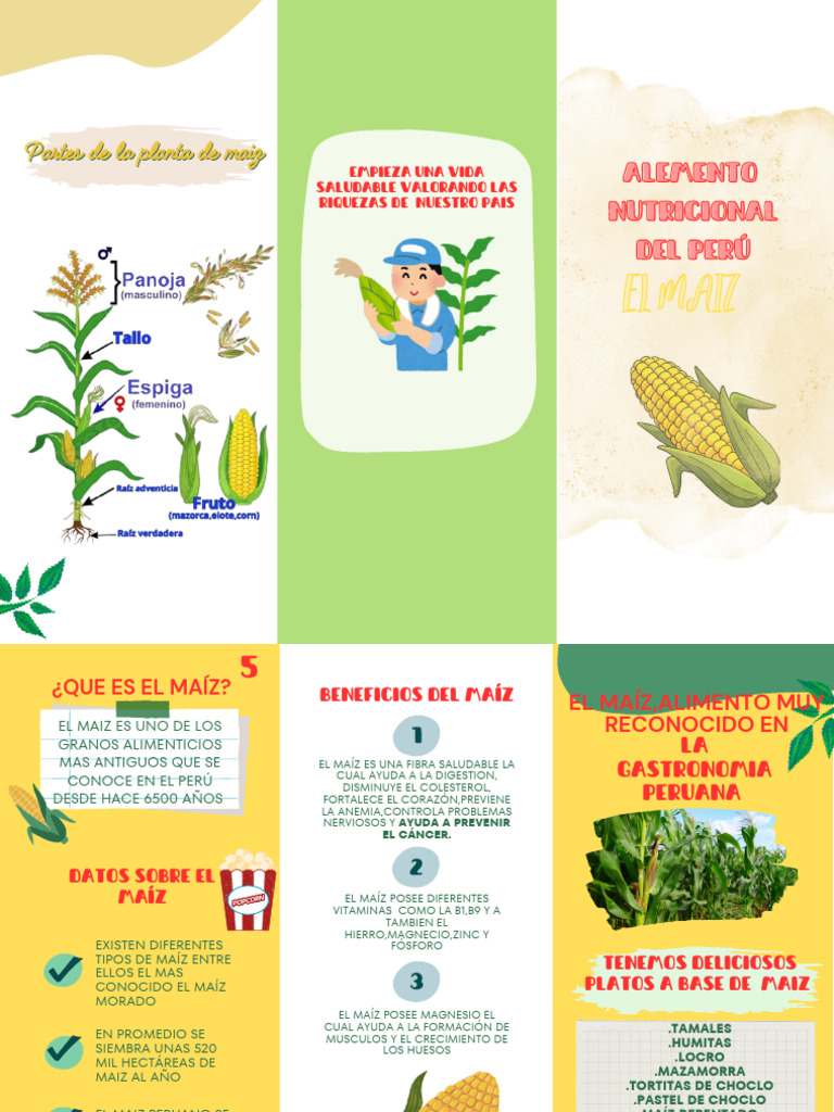 Triptico Sobre El Maiz | PDF