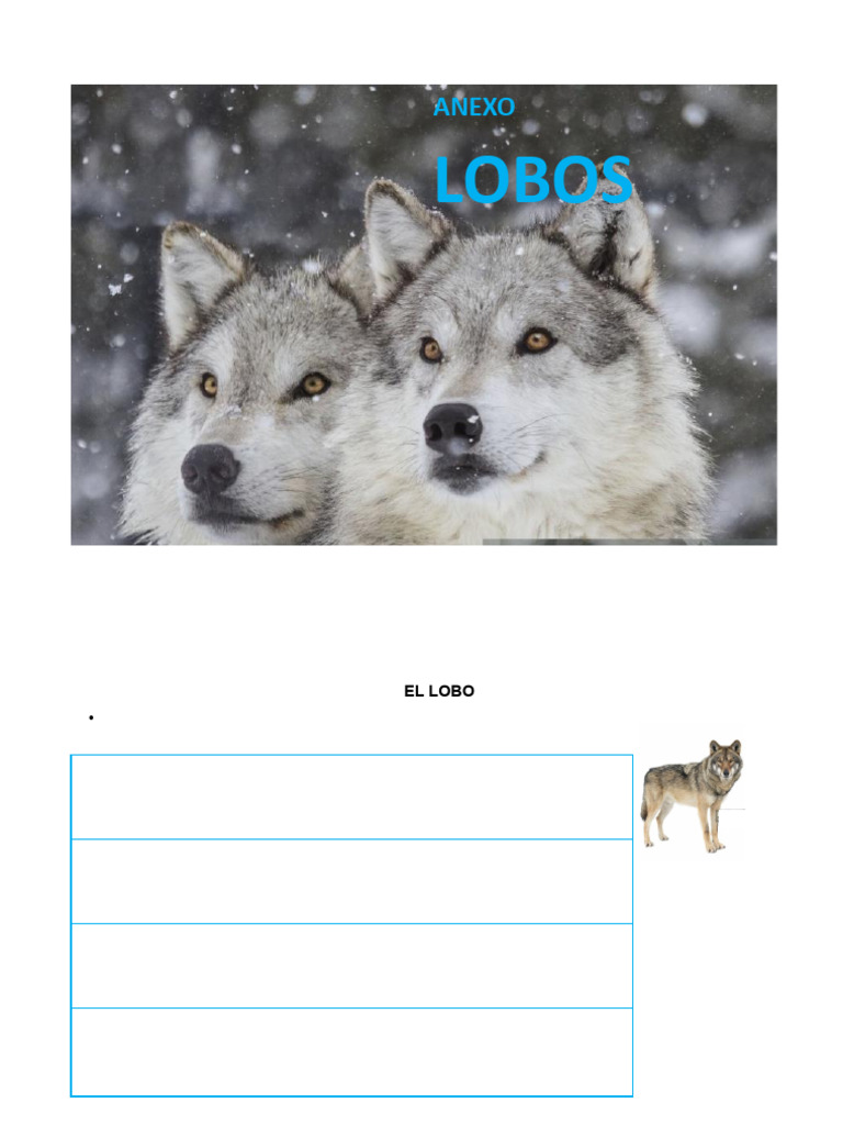 Anexo Lobos | PDF
