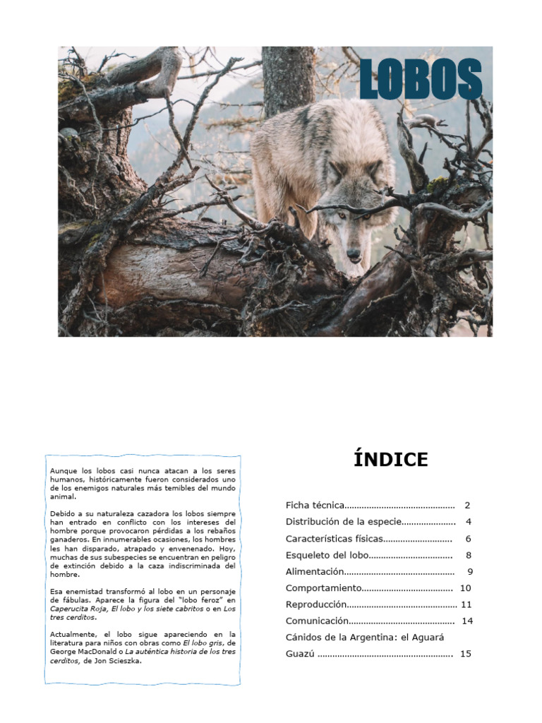 Lobos-2° Año-Informativo | PDF