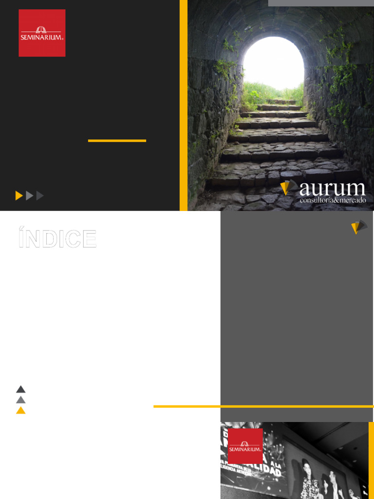 Informe - Aurum - IA en La Organizaciones | PDF