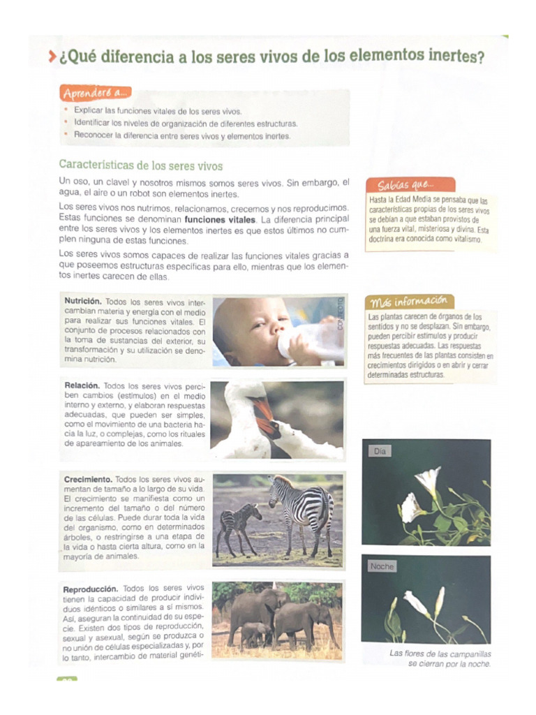 ¿Qué Diferencia A Los Seres Vivos de Los Elementos Inertes | PDF