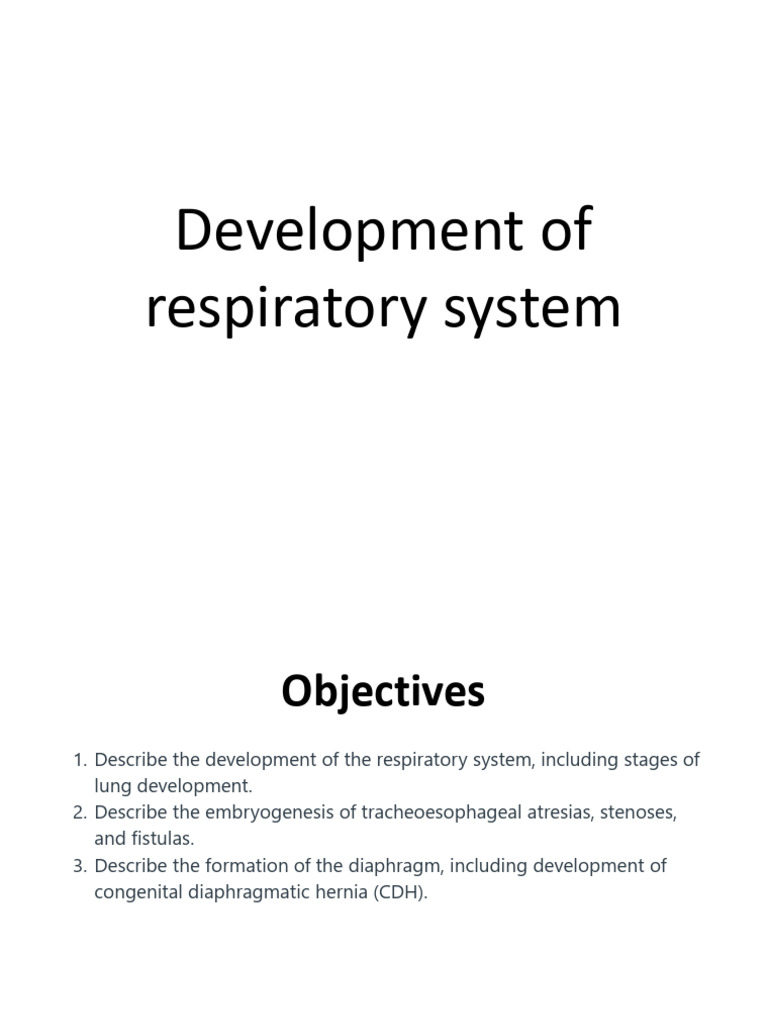 Lecture 11- Development of the respiratory system | PDF