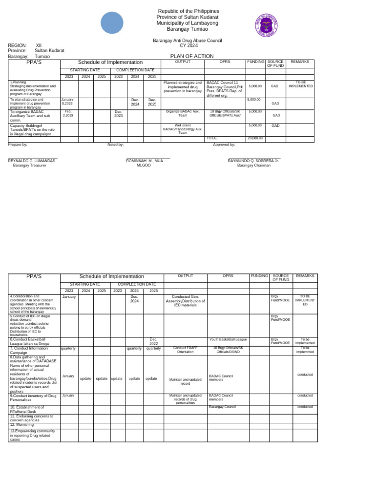 Badac Action Plan | PDF